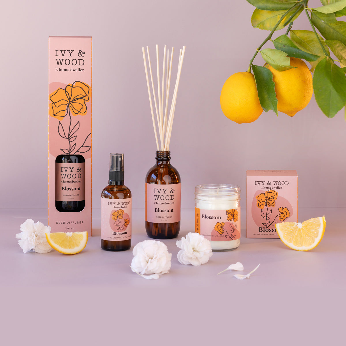 Blossom Reed Diffuser | Ivy & Wood | Australia